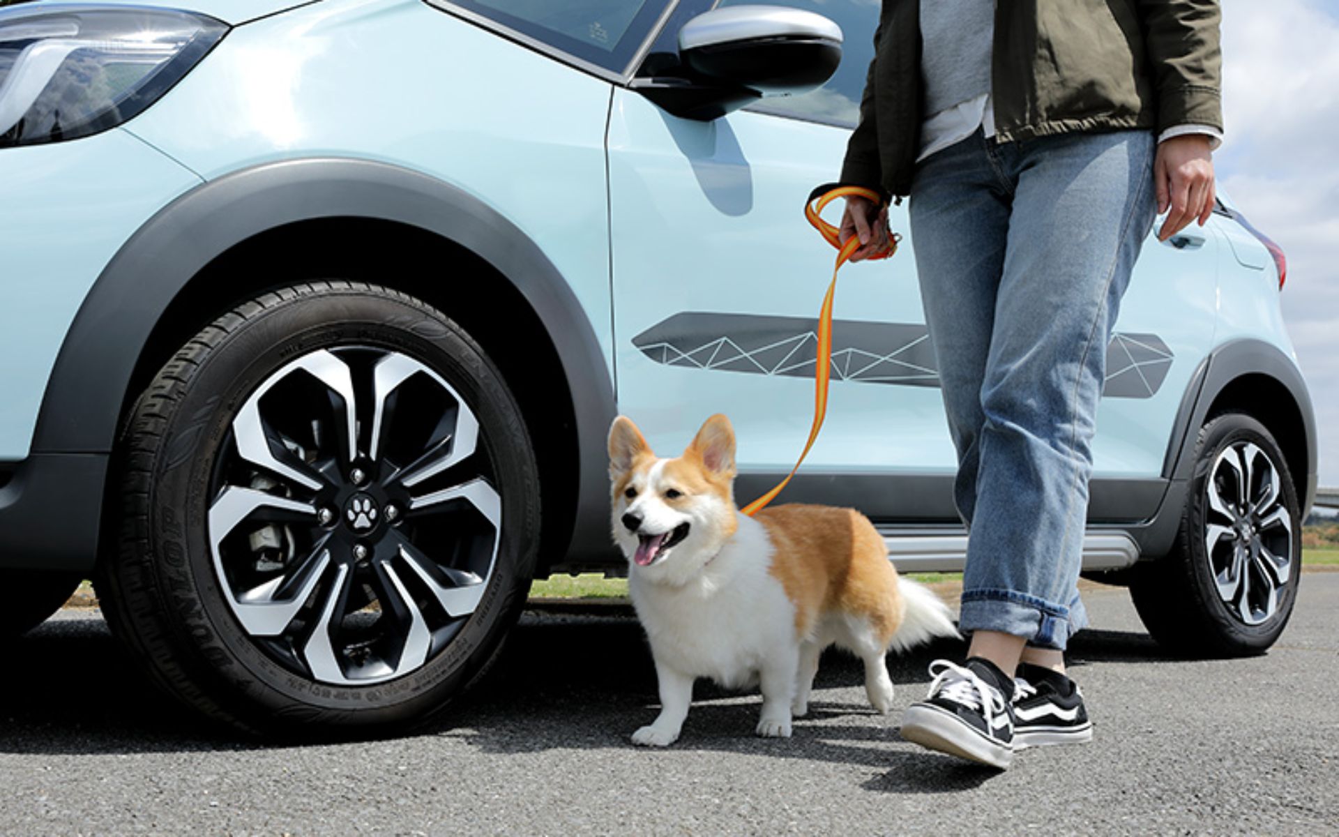 Honda Dog, la gama de accesorios de coche para mascotas
